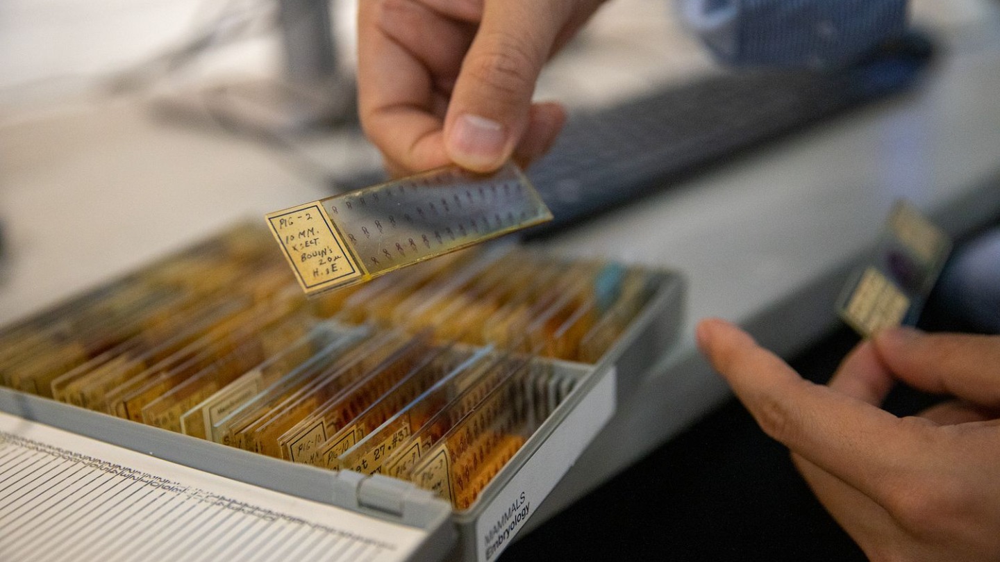 Cross-Registration at RISD and Harvard | Graduate School | Brown University