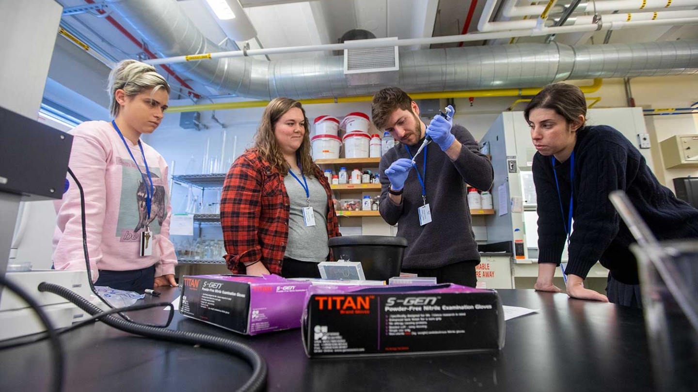 Ph.D. Requirements | Graduate School | Brown University